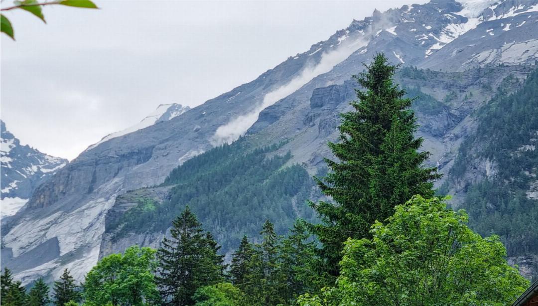 Wärme und Regen sorgen für Bewegung